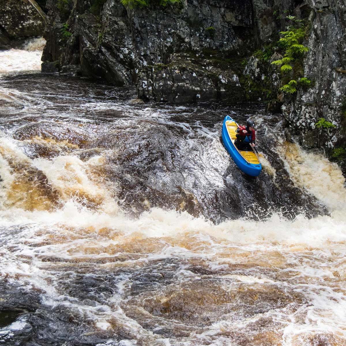 Booking Info - Green Wave Guiding